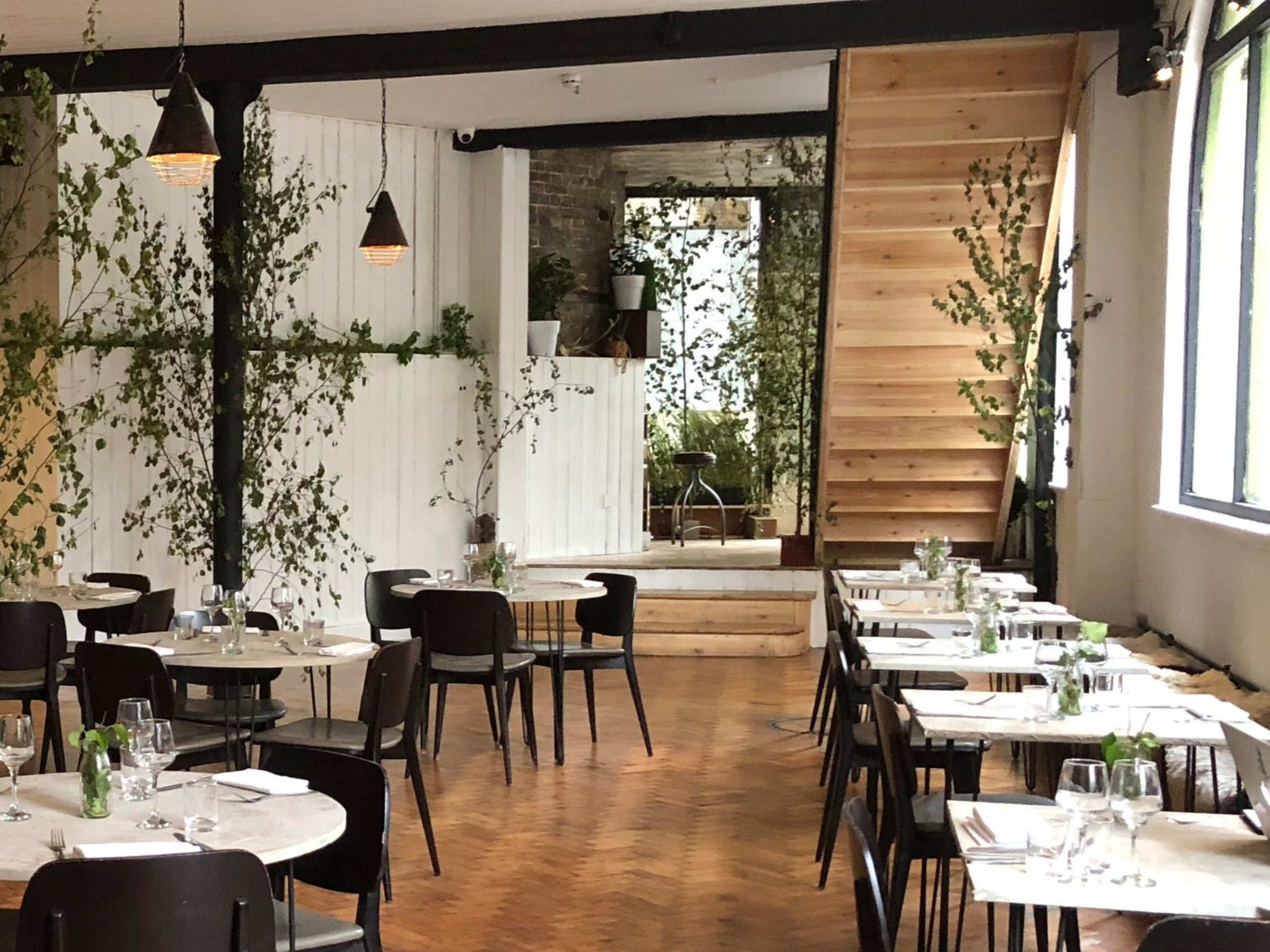 Levan - Peckham - London - The Infatuation