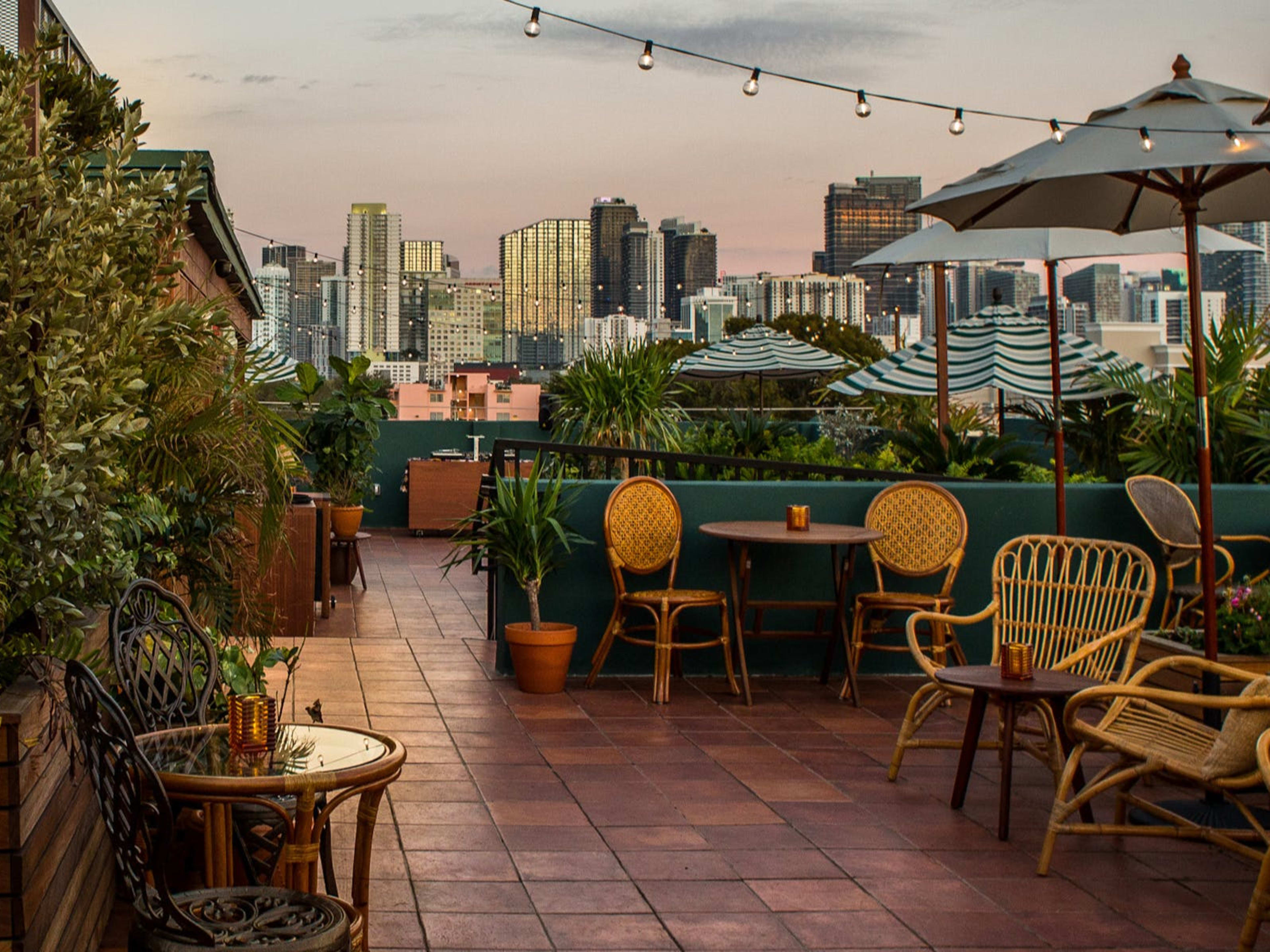 Level 6 By Amal - Coconut Grove - Miami - The Infatuation