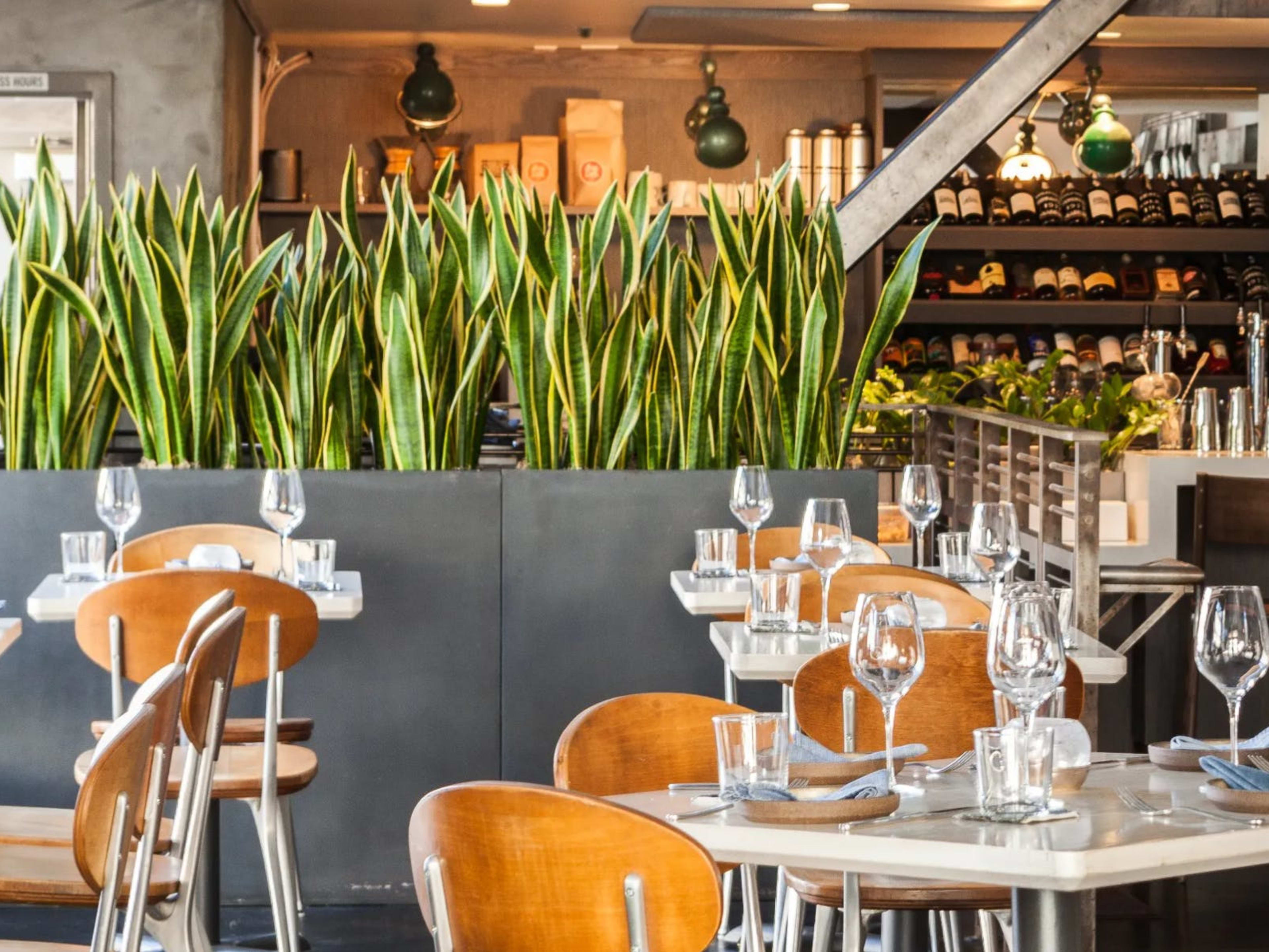 Foreign Cinema - Mission - San Francisco - The Infatuation