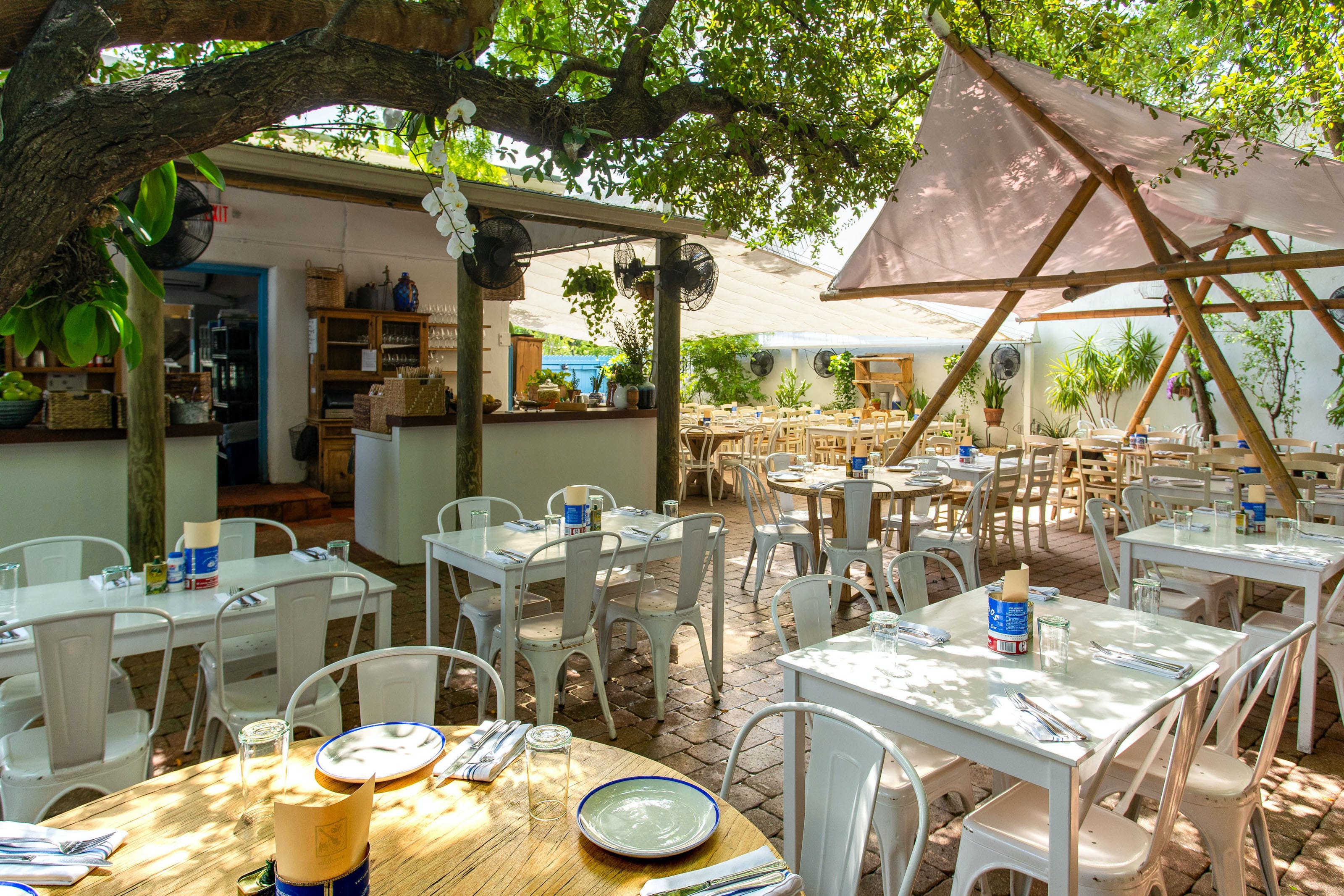 Mandolin Aegean Bistro - Buena Vista - Miami - The Infatuation