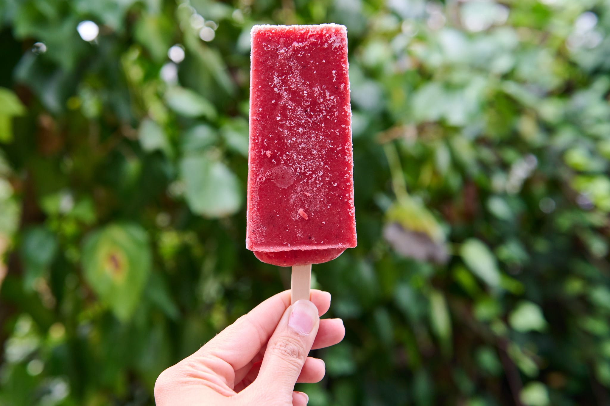 Seattle Pops - Wallingford - Seattle - The Infatuation