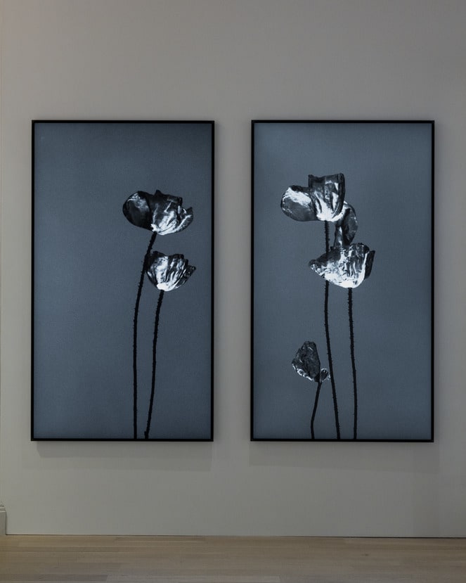 The Jewish Museum - Online Collection - Dark Light