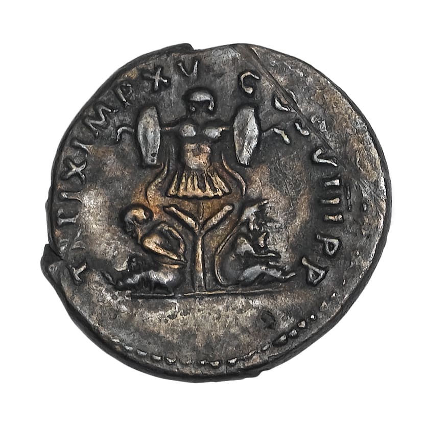 The Jewish Museum - Online Collection - Coin Judaea Capta Coin of Titus