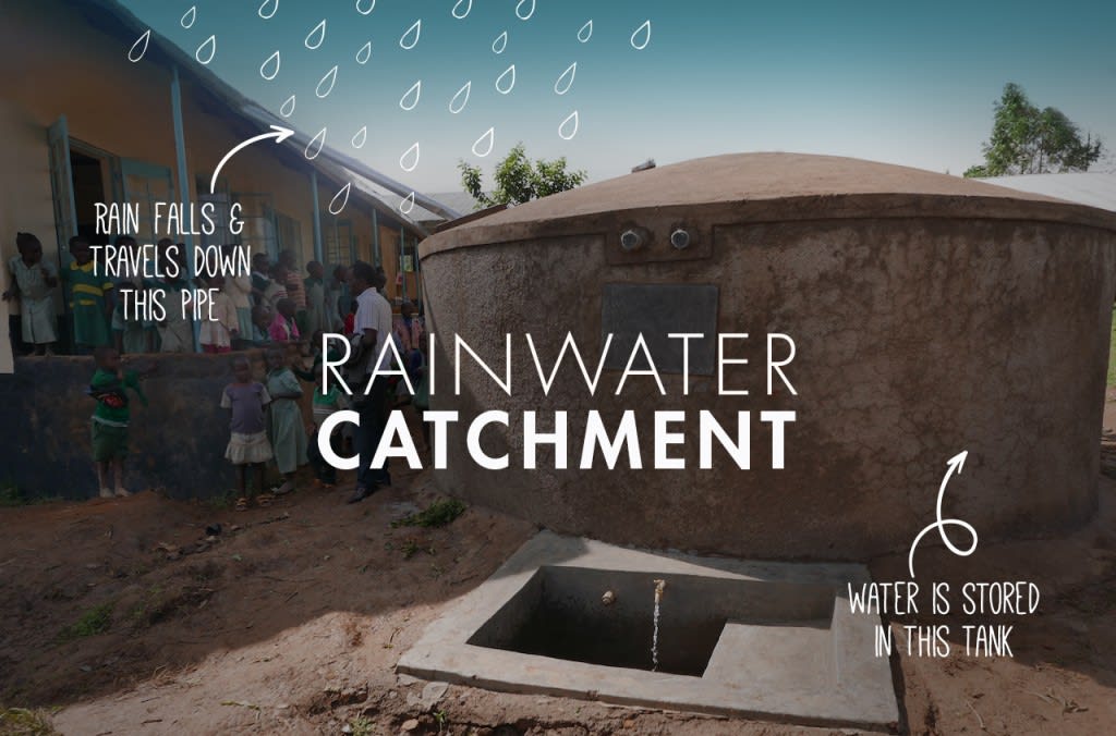 How We Work to Solve the Water Crisis | The Water Project
