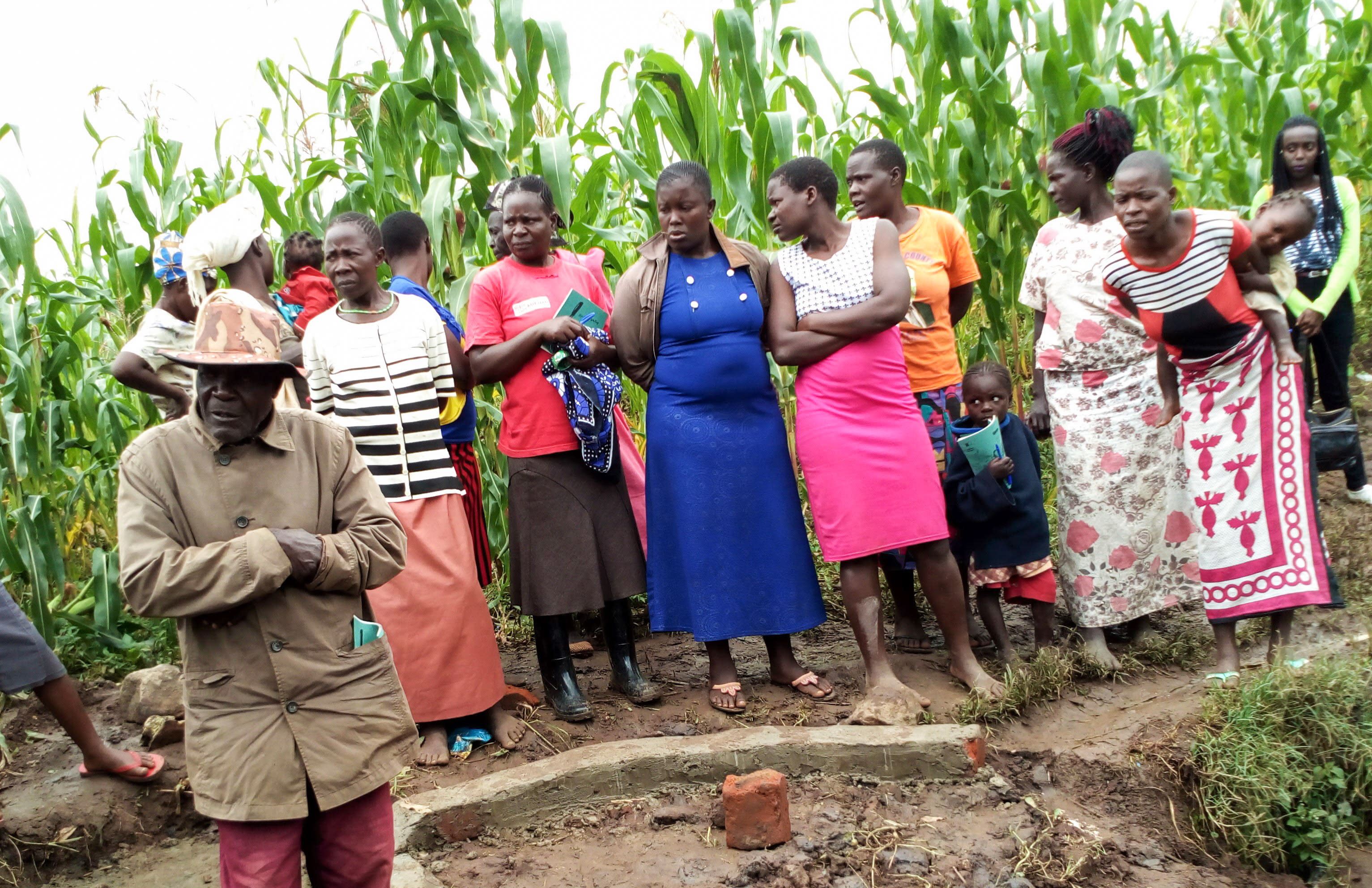 The Water Project: Kenya - Burachu B Community, Shitende Spring