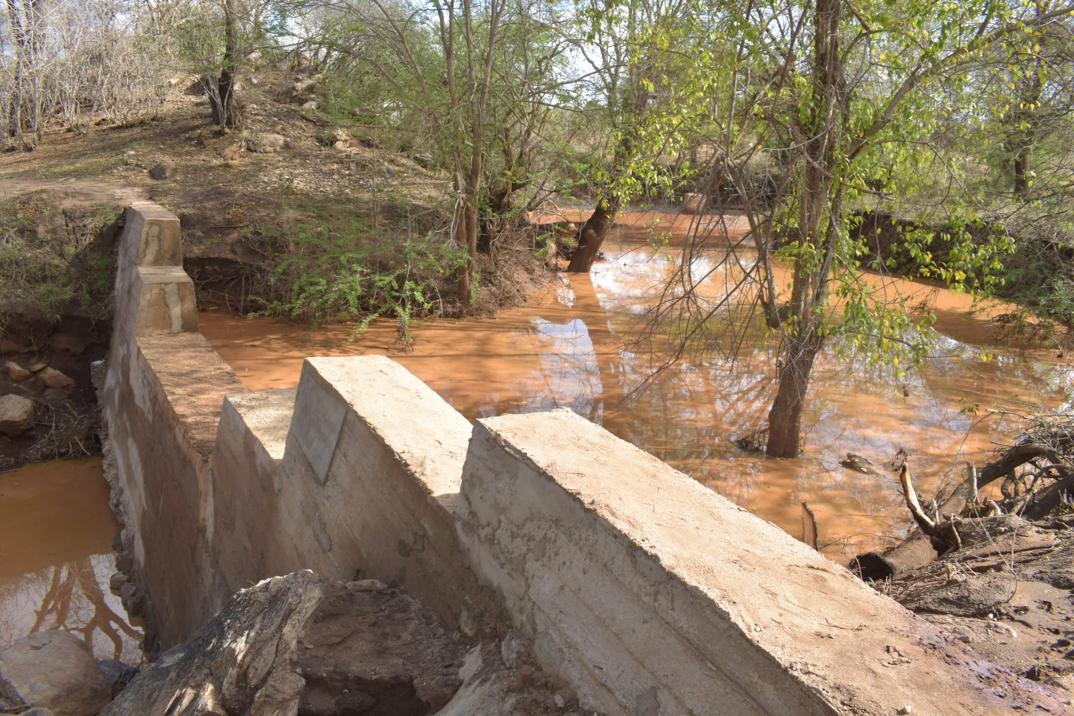The Water Project: Kenya - Tulimani Community