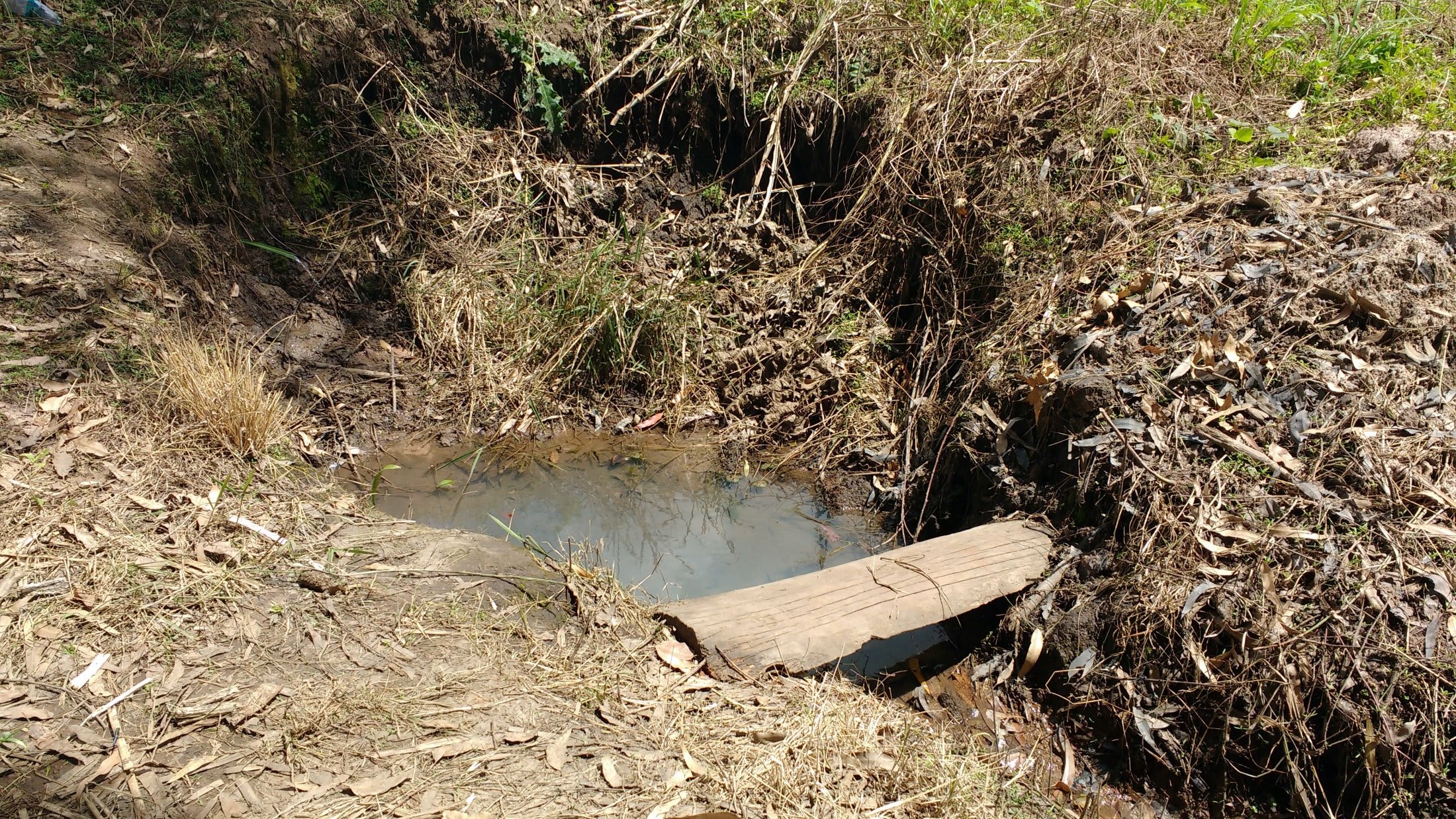 The Water Project: Uganda - Rubona Kyawendera Community