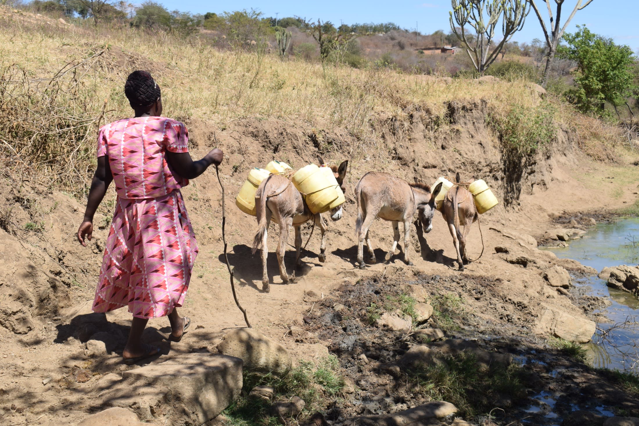 The Water Project: Kenya - Kalawa Community Sand Dam