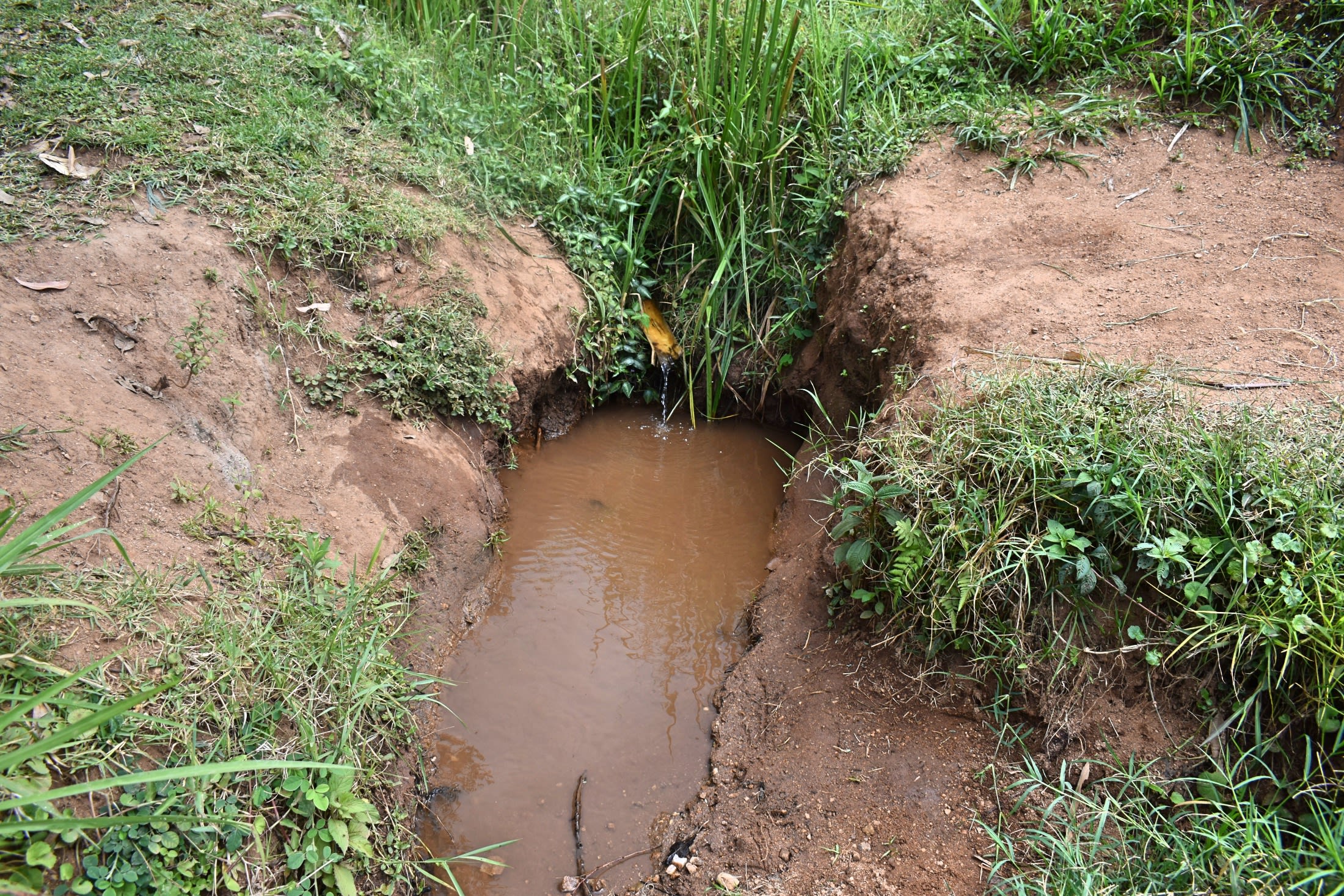 The Water Project: Kenya - Gamoi Primary School