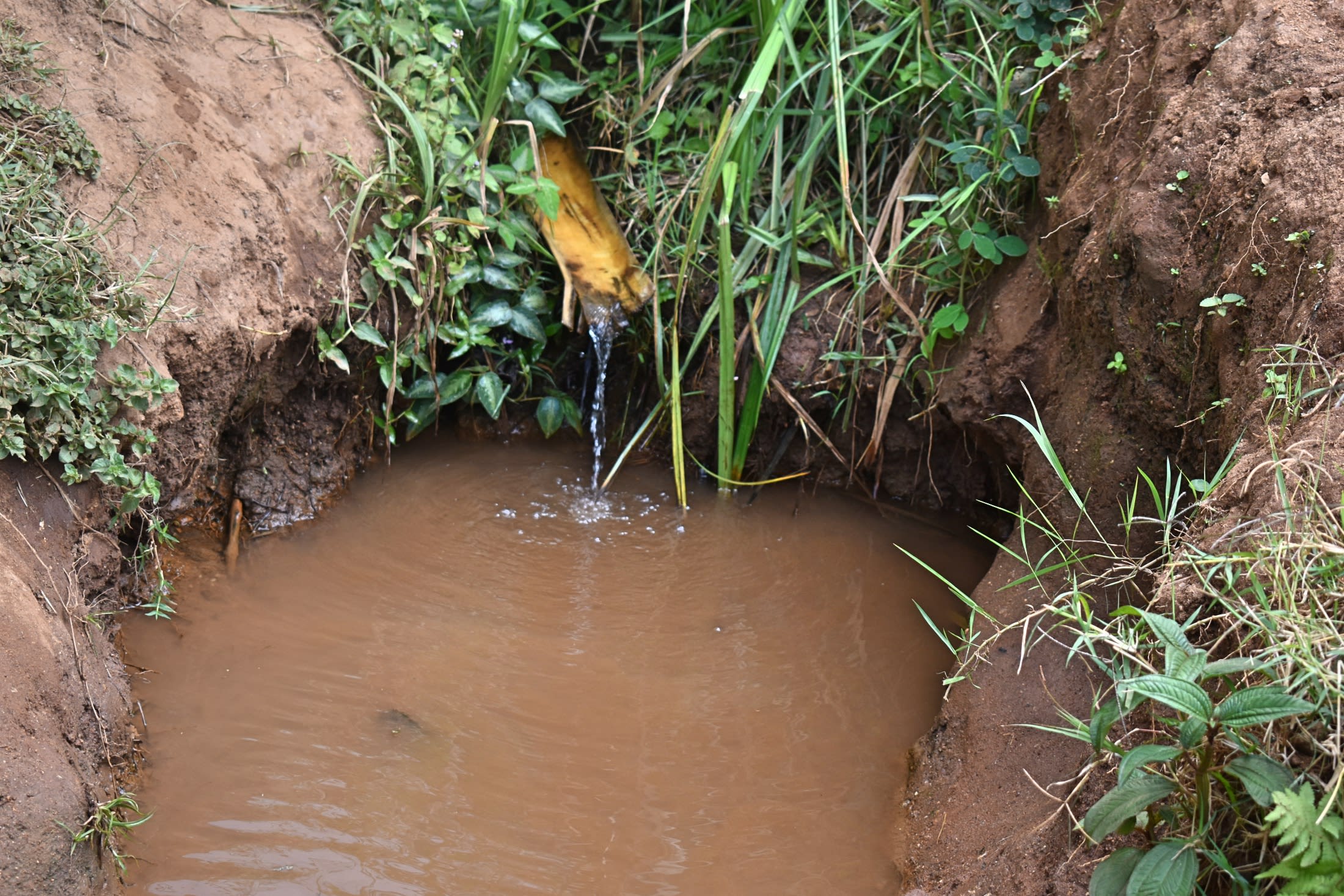 The Water Project: Kenya - Gamoi Primary School