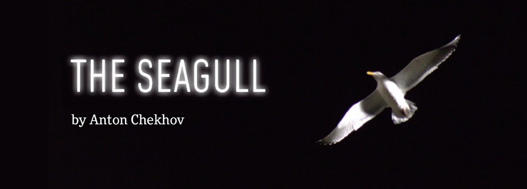 The Seagull | TheaterEngine