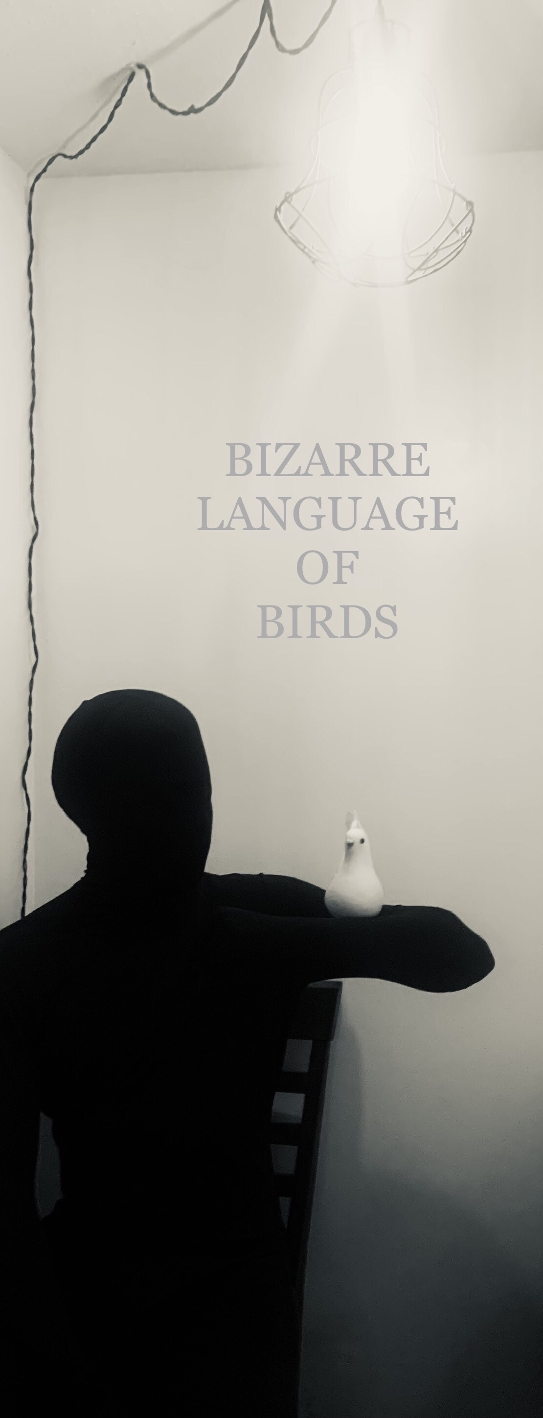 The Bizarre Language of Birds: A Prelude | TheaterEngine