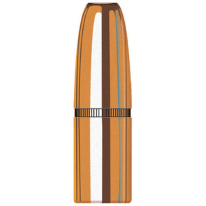 375 CAL .375 300 GR DGS