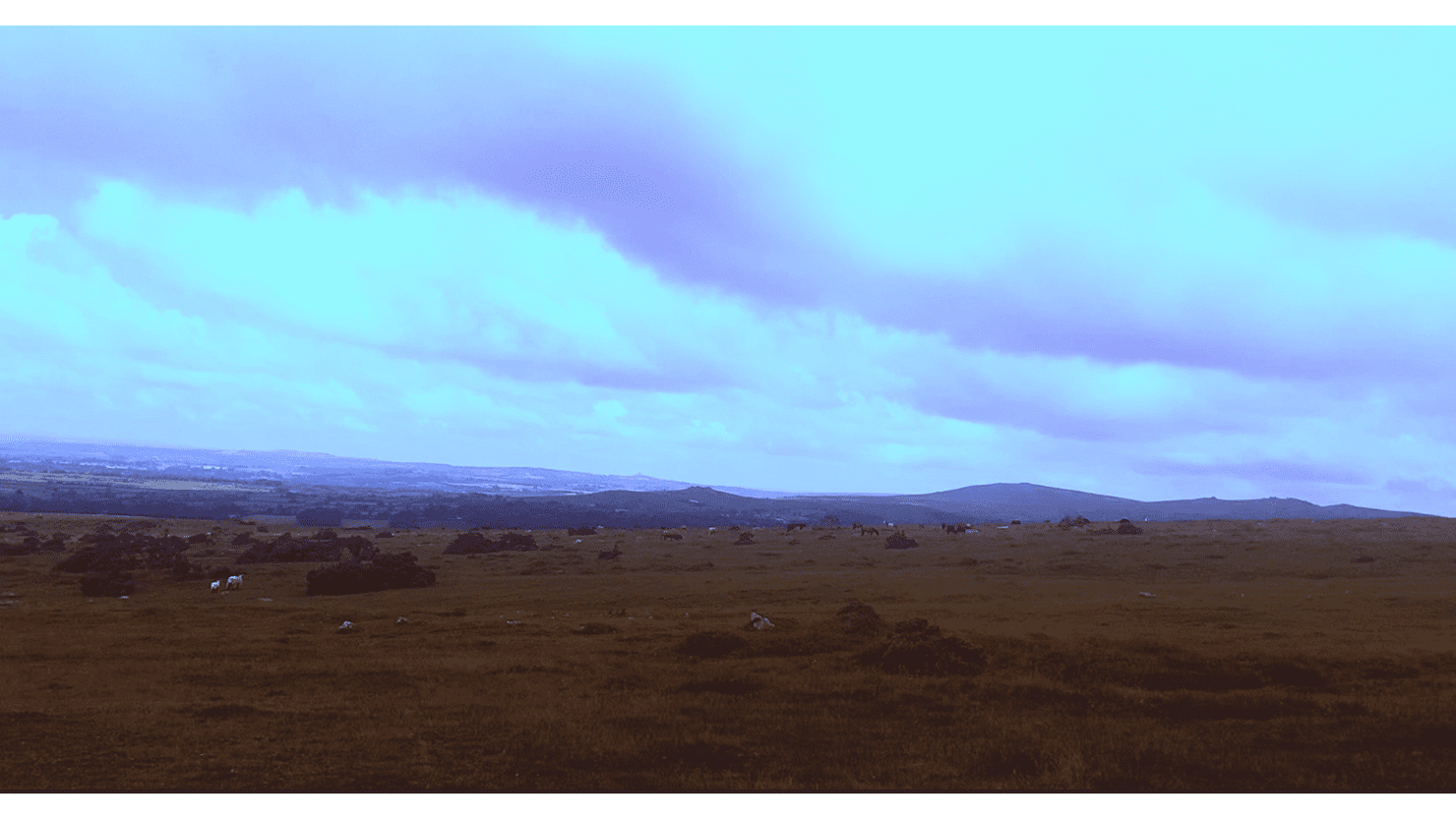 The Box | Artist in Residence: Emily Pope | The Box Plymouth