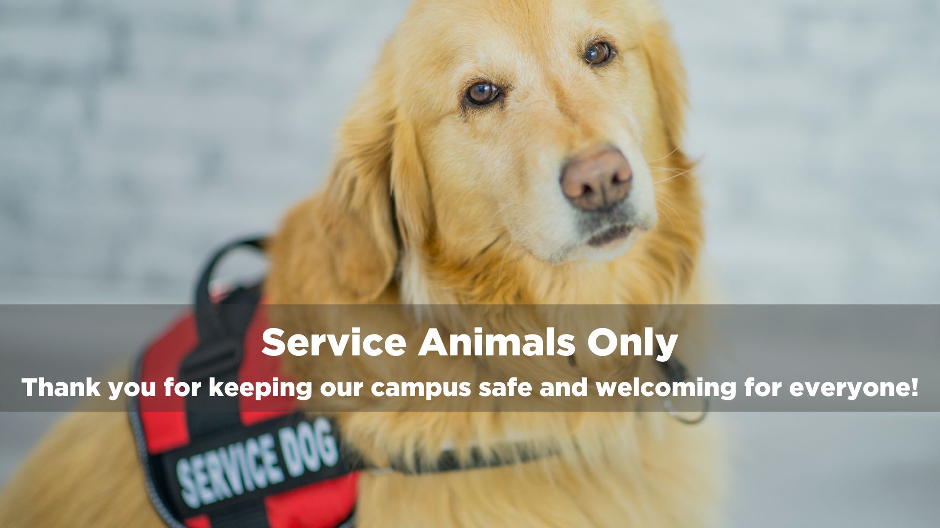 The MET Church - A Grace-filled Church in Houston, TX