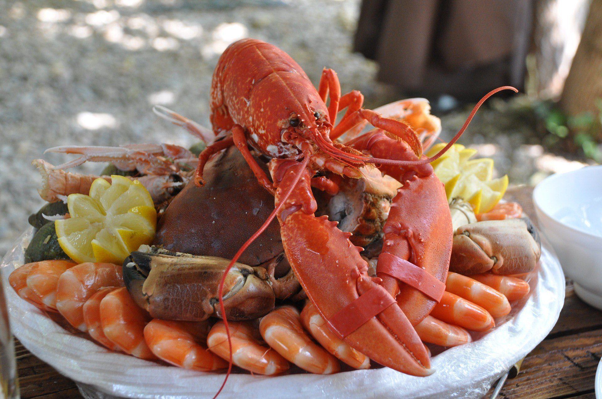 America's 33 Best Seafood Shacks