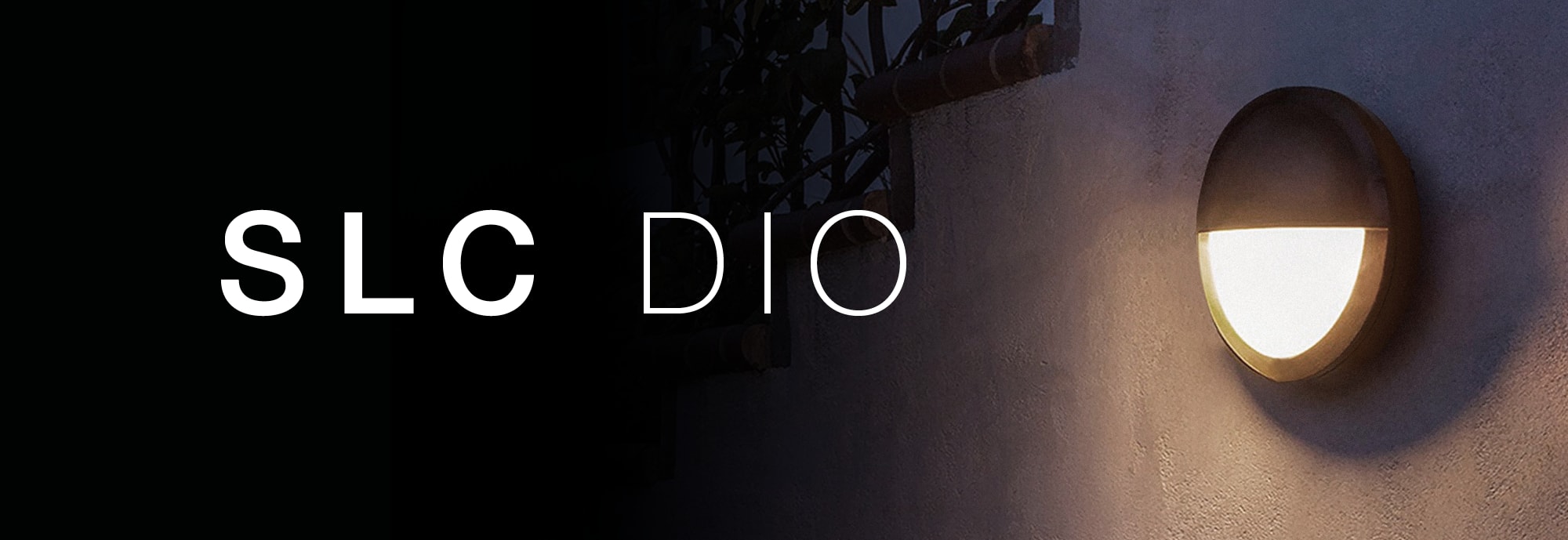 SLC Dio Outdoor Luminaire: Robust and Easy-to-Install for Wall or Ceiling"