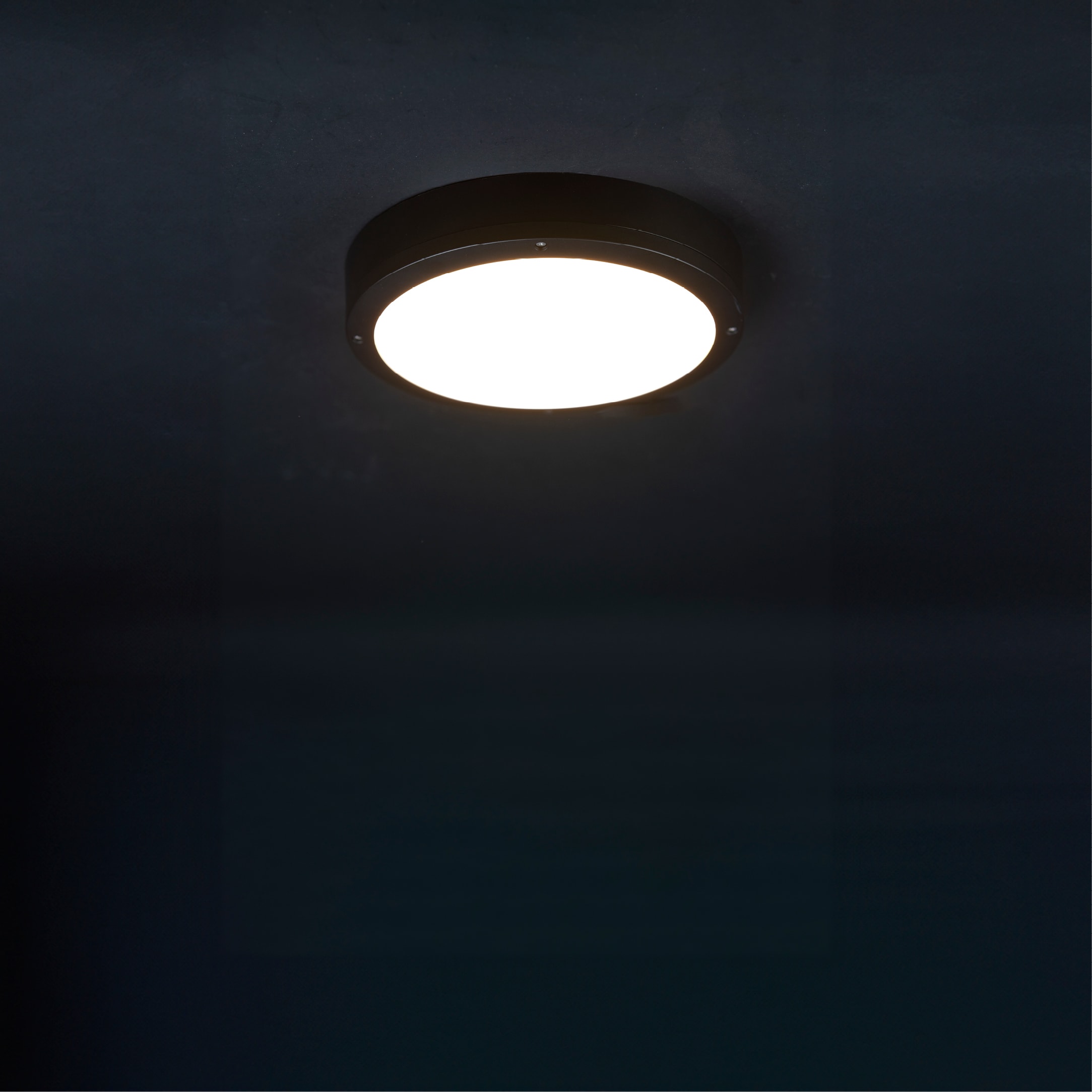 SLC Dio Outdoor Luminaire: Robust and Easy-to-Install for Wall or Ceiling"