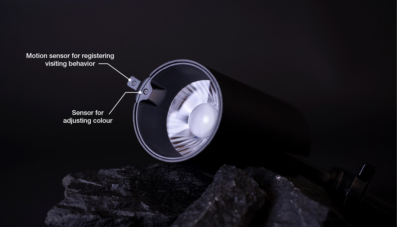 SLC Meta Pro AI The Light Group