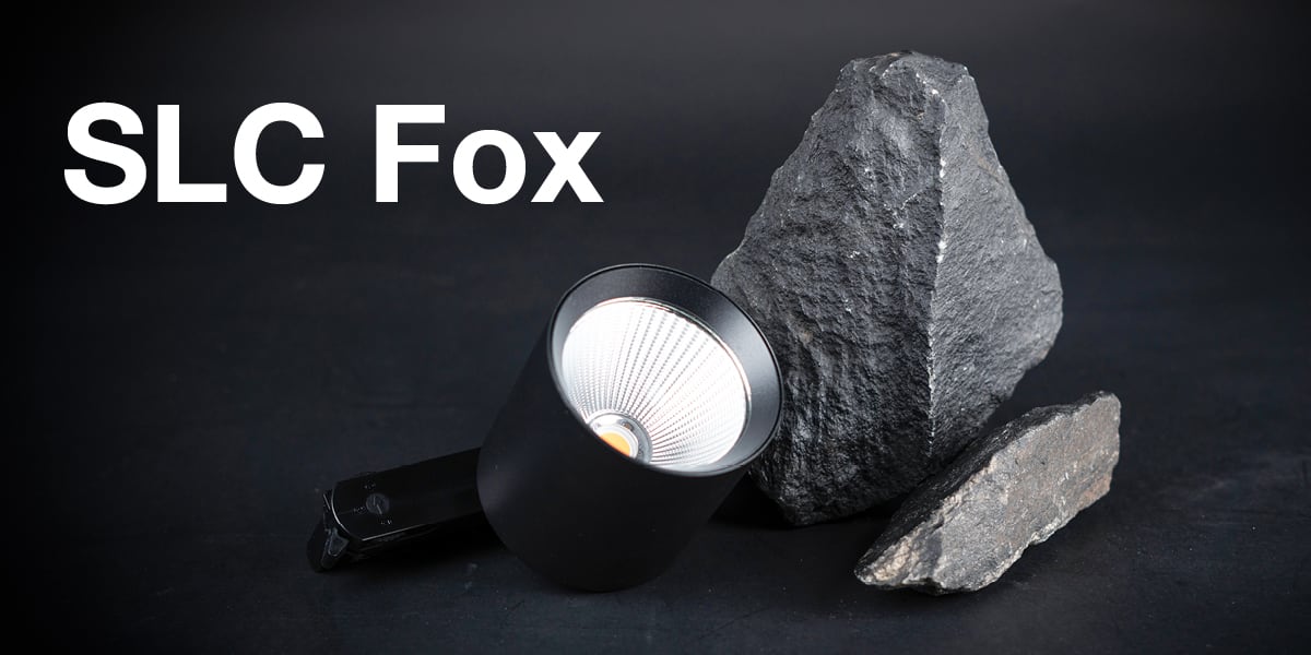 SLC Fox The Light Group