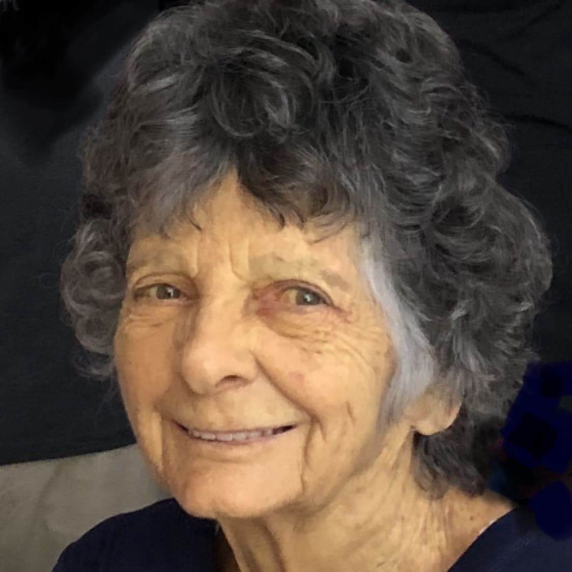 Obituary & Life Story for Arlene A Nelson | Online Obituaries | theMemories
