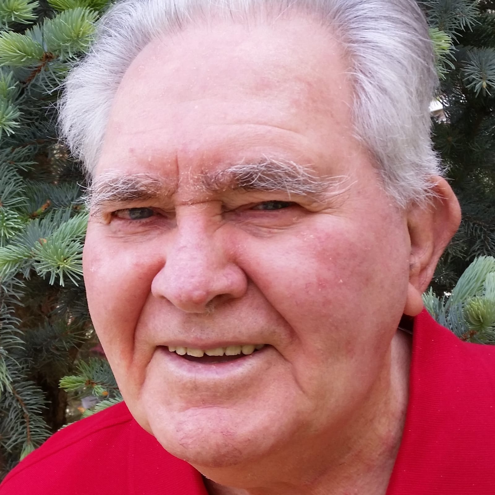 Obituary & Life Story for Donald George Patey | Online Obituaries ...