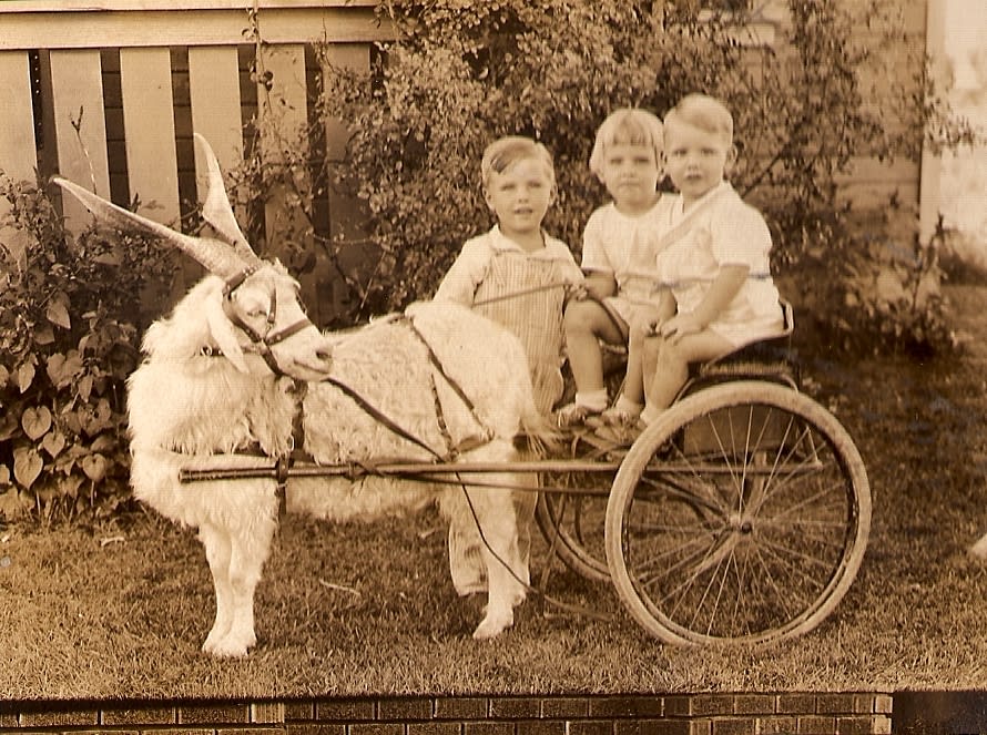 Obituary & Life Story for Donald Conrad Lucas | Online Obituaries ...