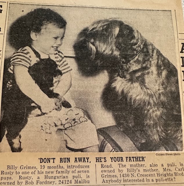 Obituary & Life Story for William "Bill" Andrew Grimes | Online ...