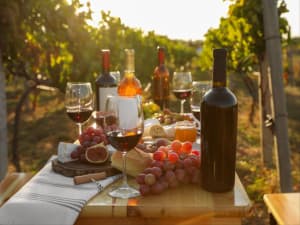 San Luis Soyatlan Town and Vineyards Tour – Full Day