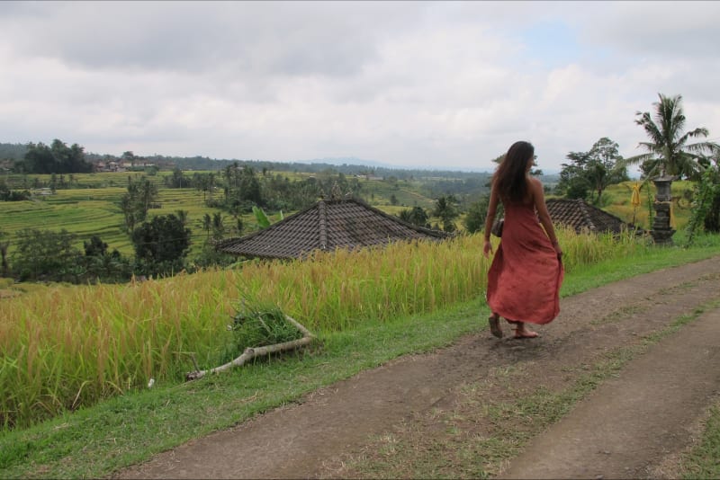Gallery - Tanah Lot & UNESCO Heritage Tour – Full Day