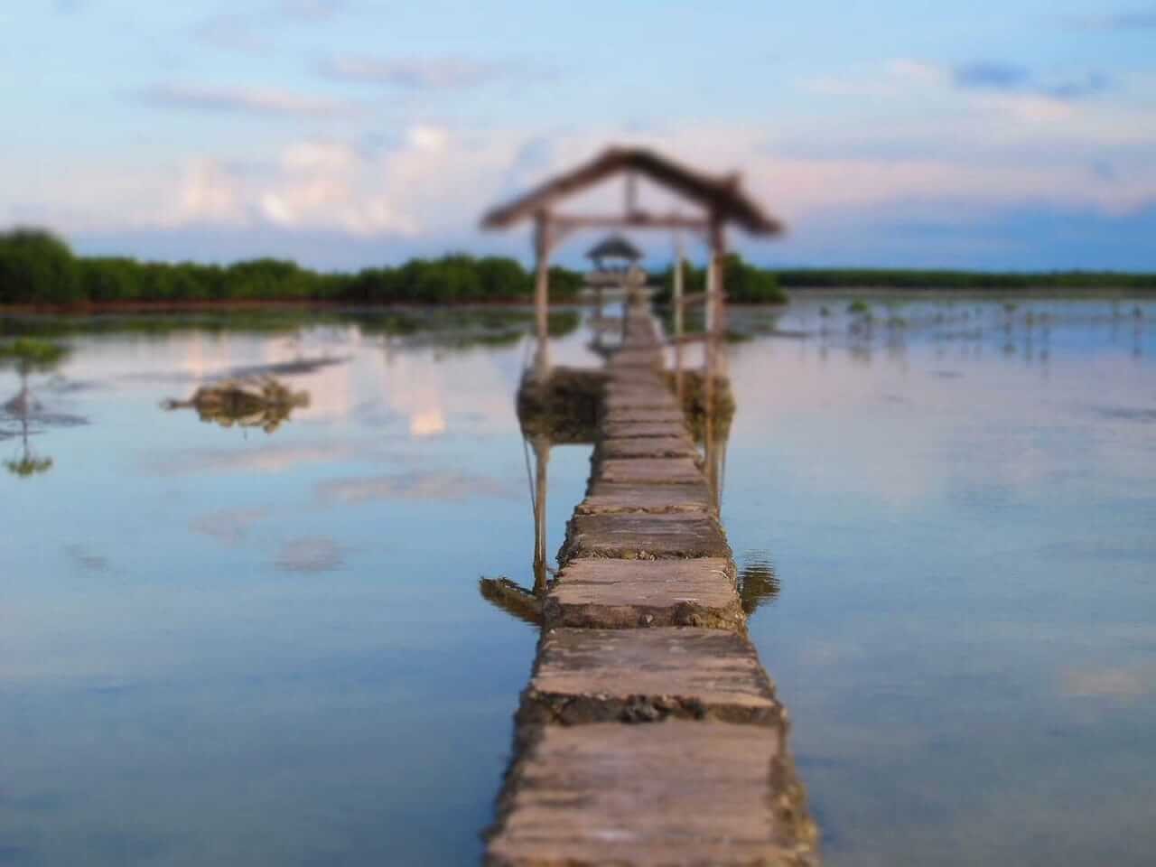 Discover Olango Island in Cebu and Bohol | Trip Guru