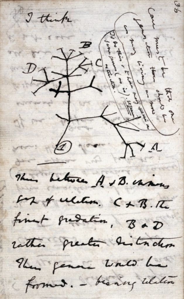 Charles Darwin and the theory that changed the world: the revolutionary ...