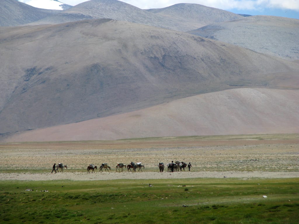 Potential geothermal development in Puga Valley/ Kashmir - a never ...