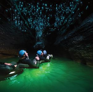 Compare experiences | Discover Waitomo NZ