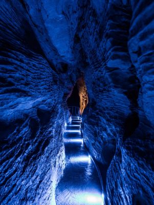 Waitomo Glowworm Caves NZ | Black Water Rafting | Discover Waitomo