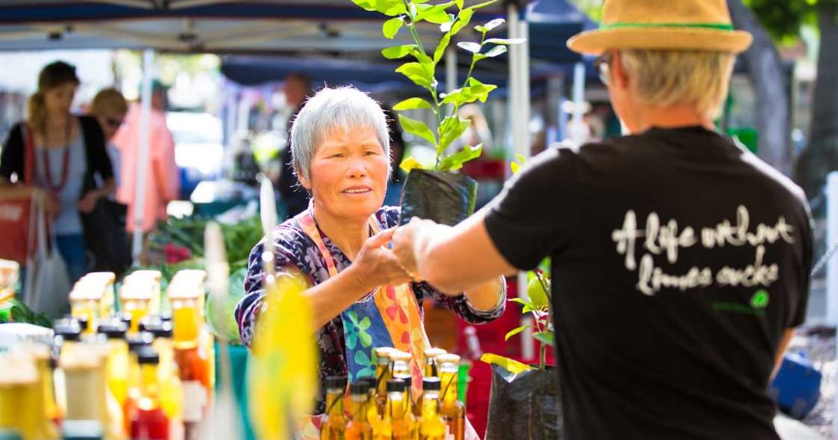 The Ultimate Guide to NZ Farmers Markets | maui Motorhomes NZ