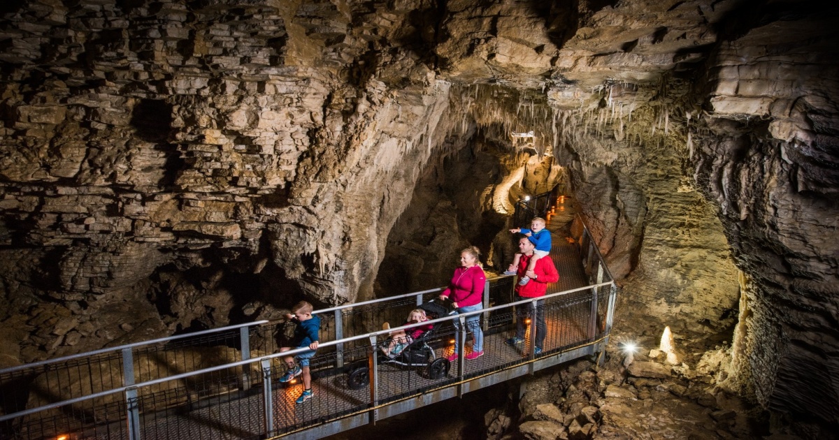 Waitomo Family Glowworm Caves Package | Discover Waitomo