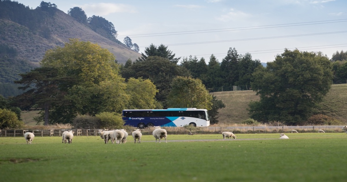 Coach to Waitomo | Discover Waitomo