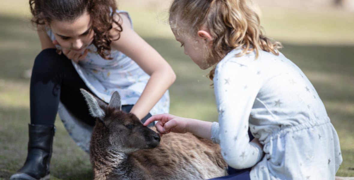 30 Fun Family Things To Do In Perth | Britz Campervans AU