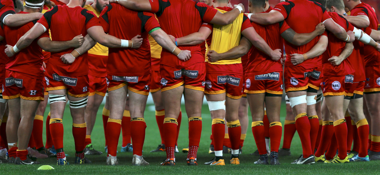 Dragon News : Dragons Support WDSD2018