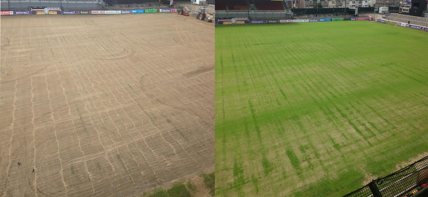 Dragon News : Pitch work at Rodney Parade