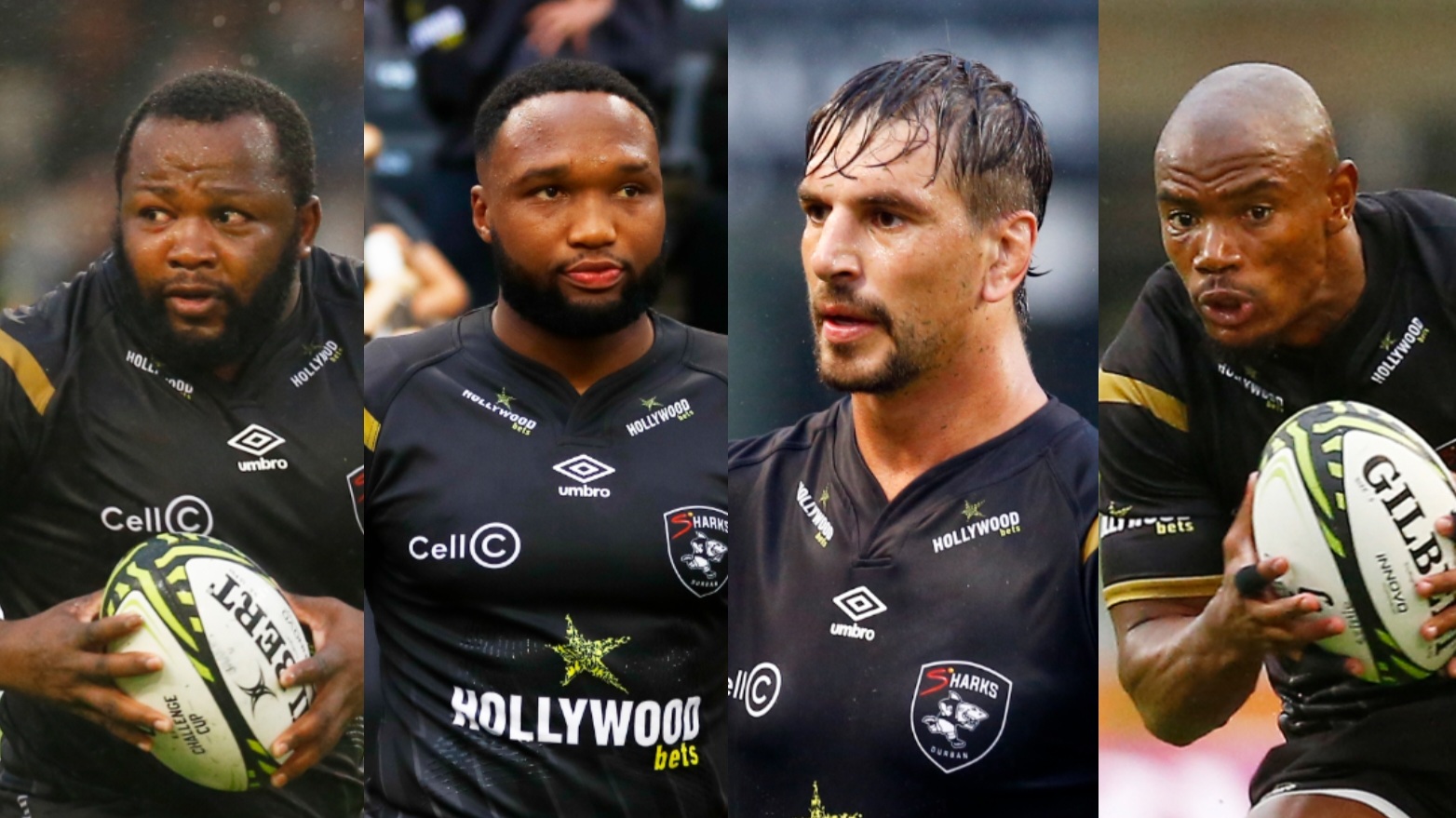 Dragon News : Euro focus: Introducing the Sharks