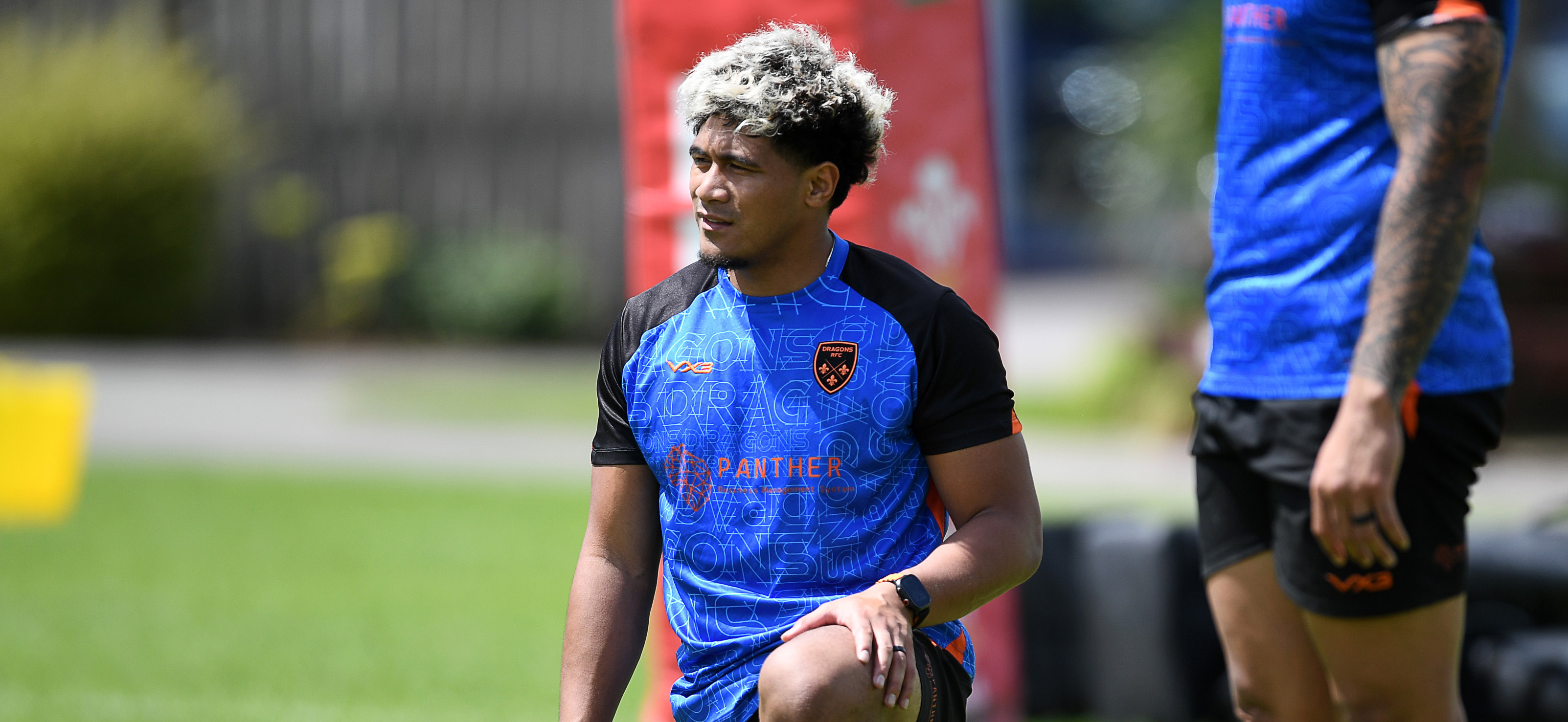 Dragon News : Dragons TV: Meet Fine & Fetuli