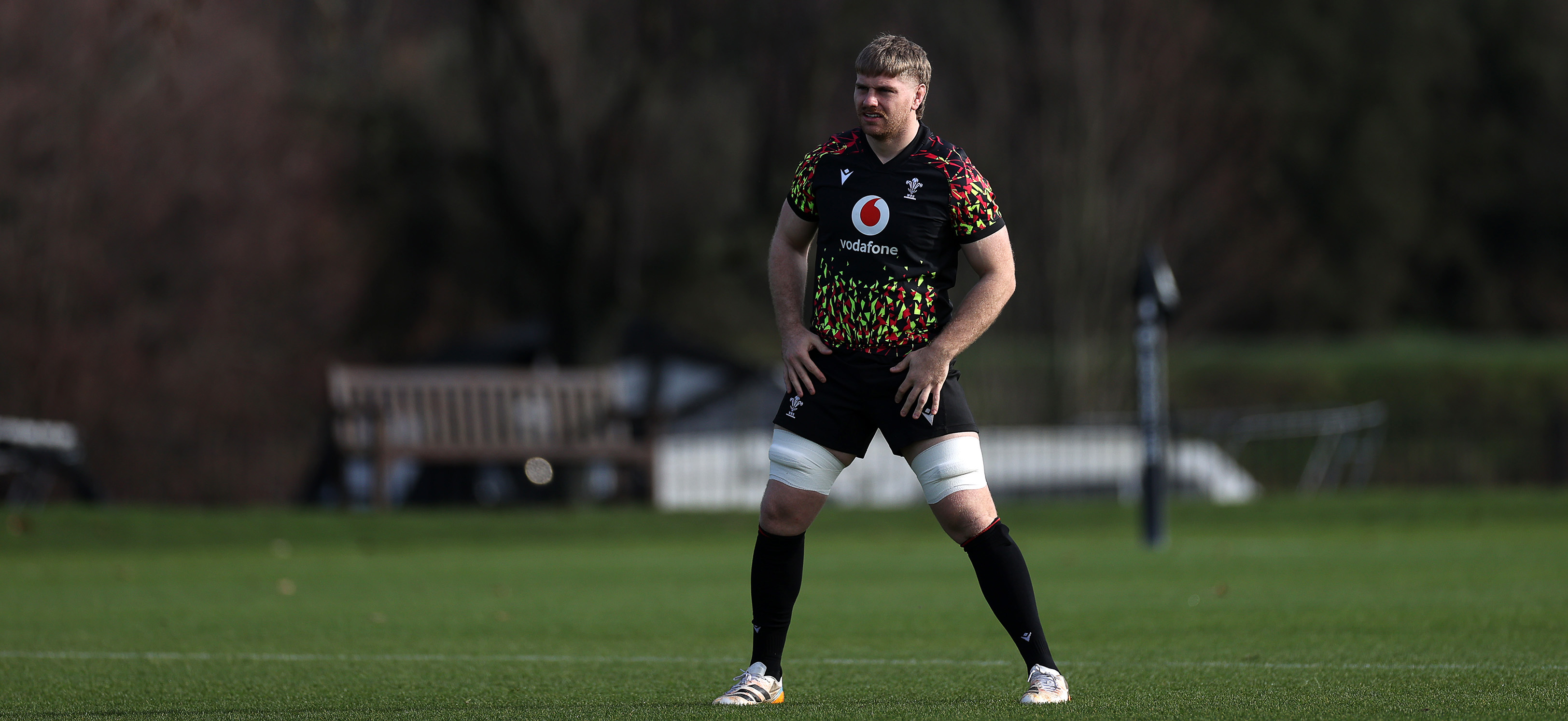 Dragon News : Waino: We must take belief to Allianz