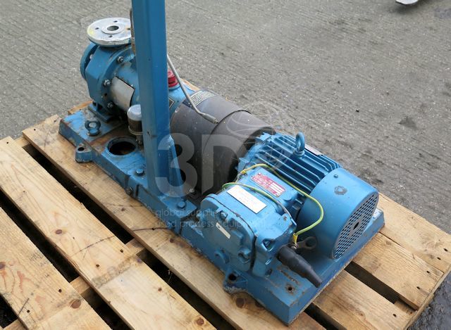 Labour Centrifugal Pump Model EO50-32-125 | 3Di Process Equipment