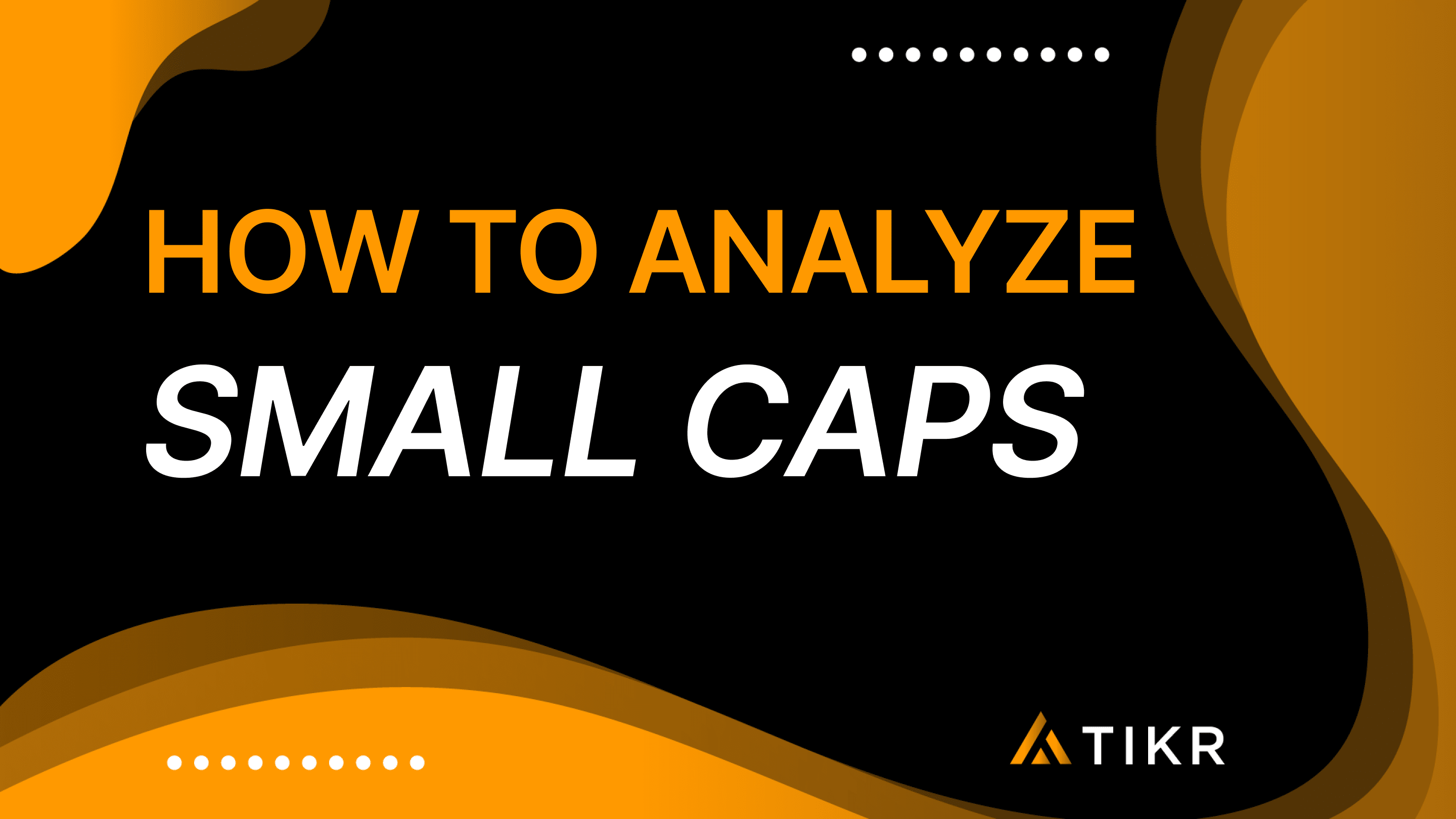 How to Analyze Small-Cap Stocks | Frameworks & Key Metrics | TIKR.com