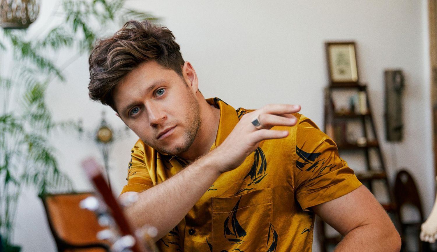 Niall Horan @ MEO Sudoeste 2023 - Festiva.is