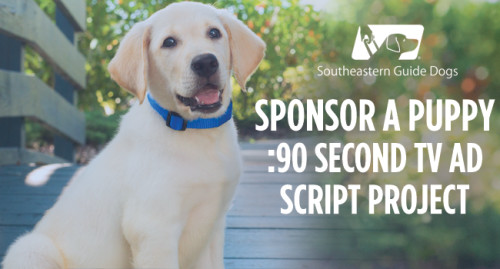 Sponsor a Puppy TVC Script Project on Tongal.com