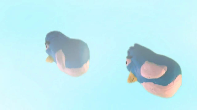 "Brisk Birds" by Matthew Stubbs on Tongal.com