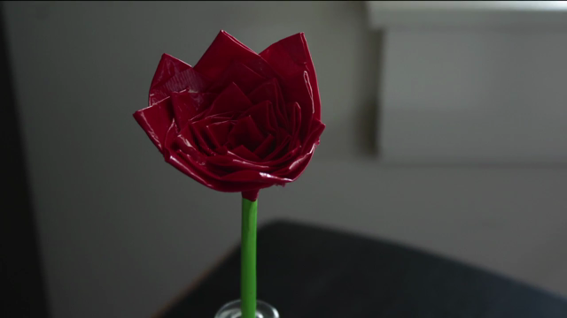 "Stop-Motion Duck v.3" by Shelli Witt on Tongal.com